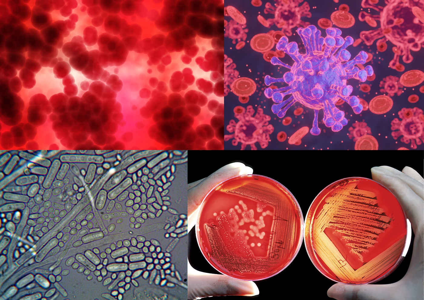 Biosafety Compliance - Approved List of Biological Agents